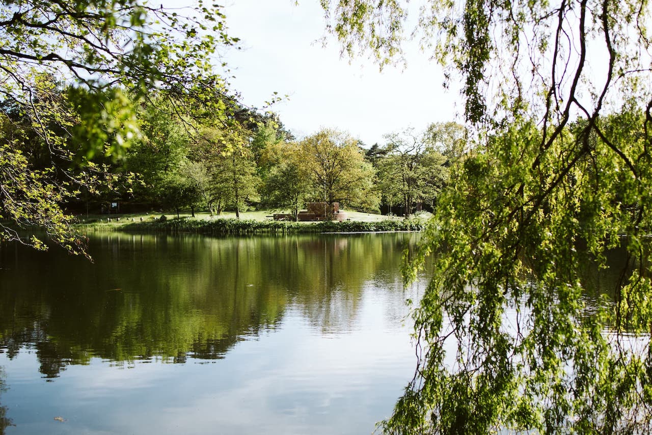 Ontdek Westerveld: het verhaal van de eeuwigheid - Jutter | Hofgeest