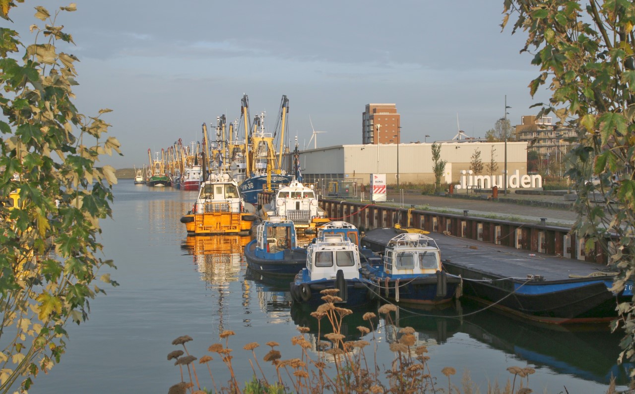 Typisch IJmuiden - Jutter | Hofgeest