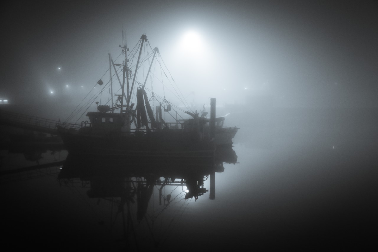 Haringhaven in de mist - Jutter | Hofgeest