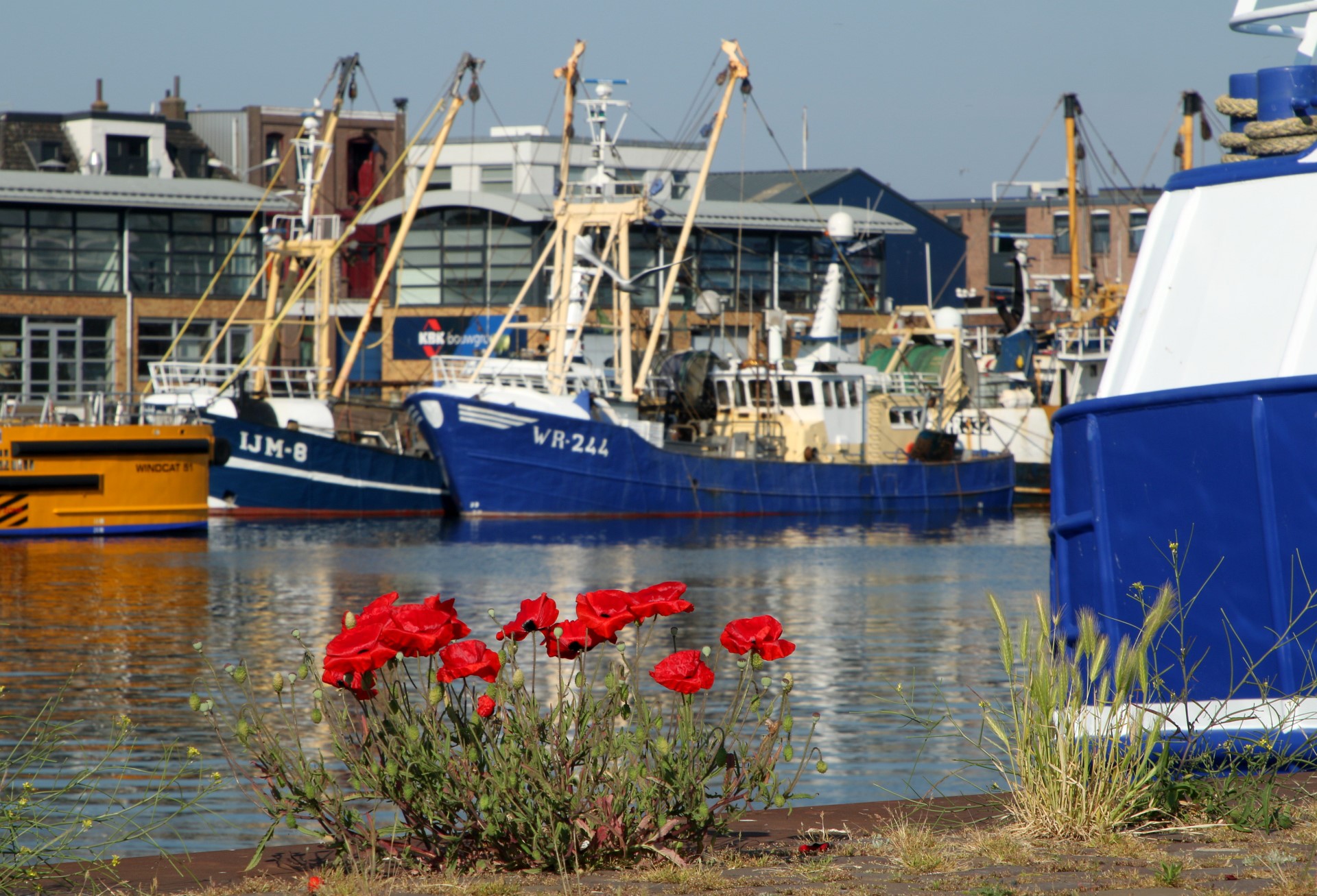 Als het zomer wordt… - Jutter | Hofgeest