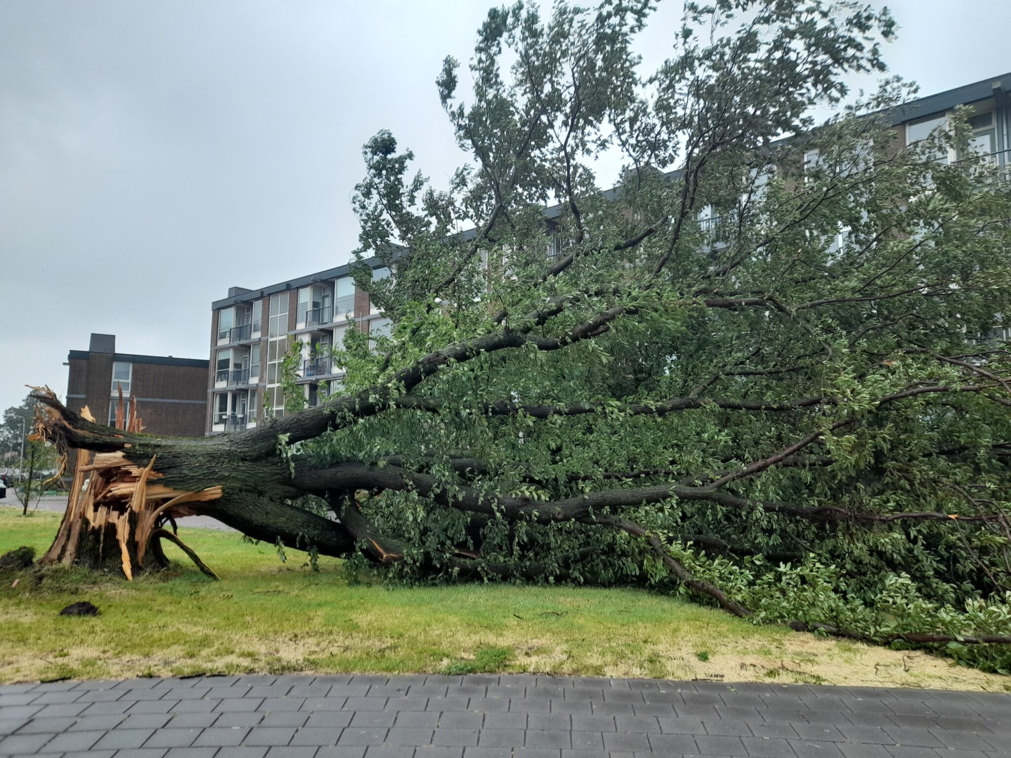 Code rood: storm Poly legt alles plat - Jutter | Hofgeest