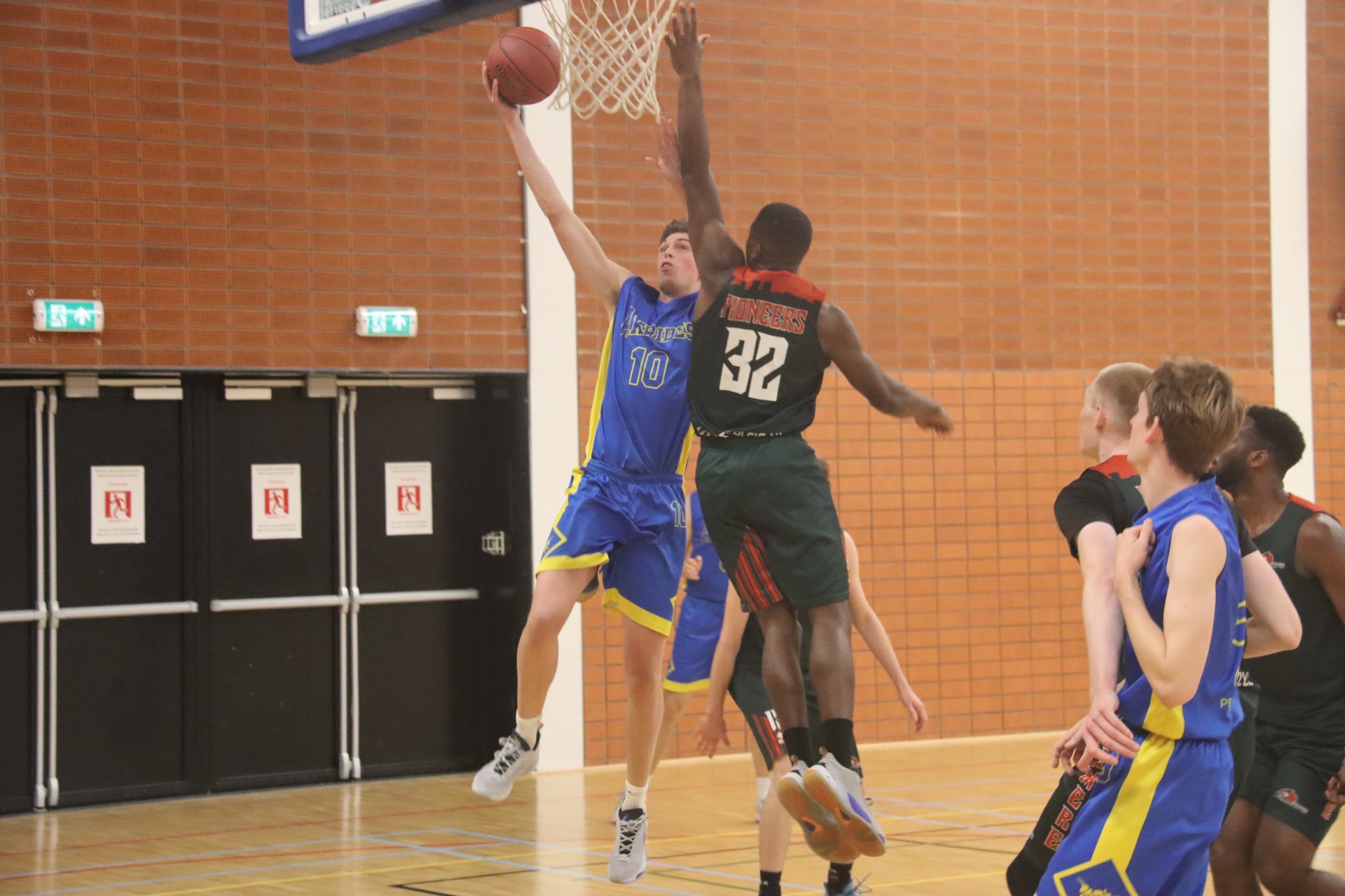 Akrides wint in Almere - Jutter | Hofgeest