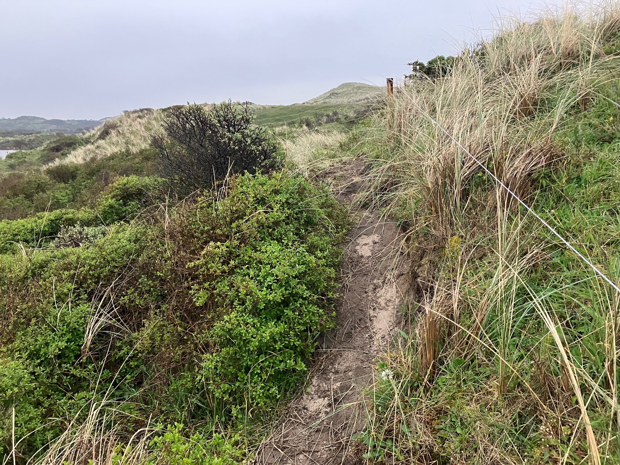 Strand Duin en Kruidberg lopend bereikbaar - Jutter | Hofgeest