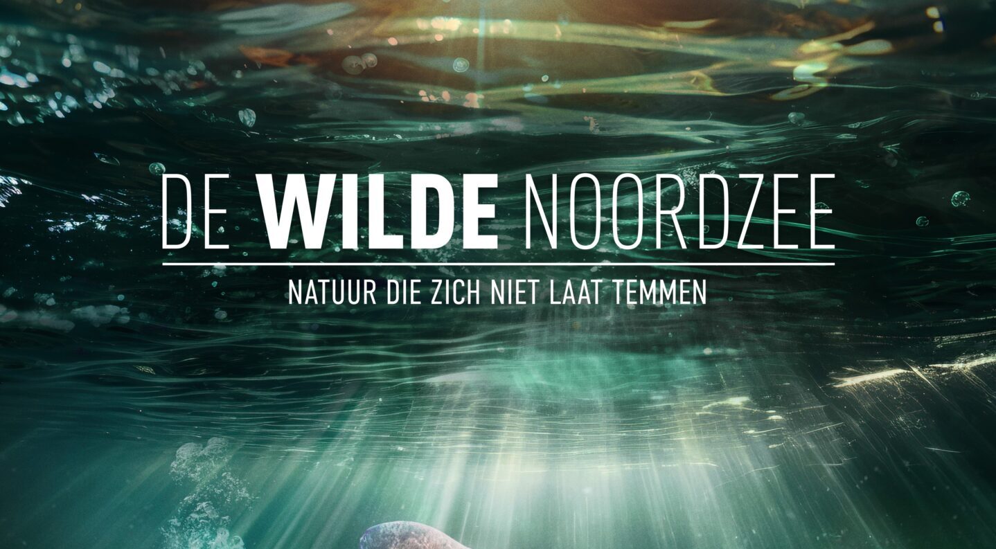 ‘Je merkt de binding met het water en de zee in Velsen’ - Jutter | Hofgeest