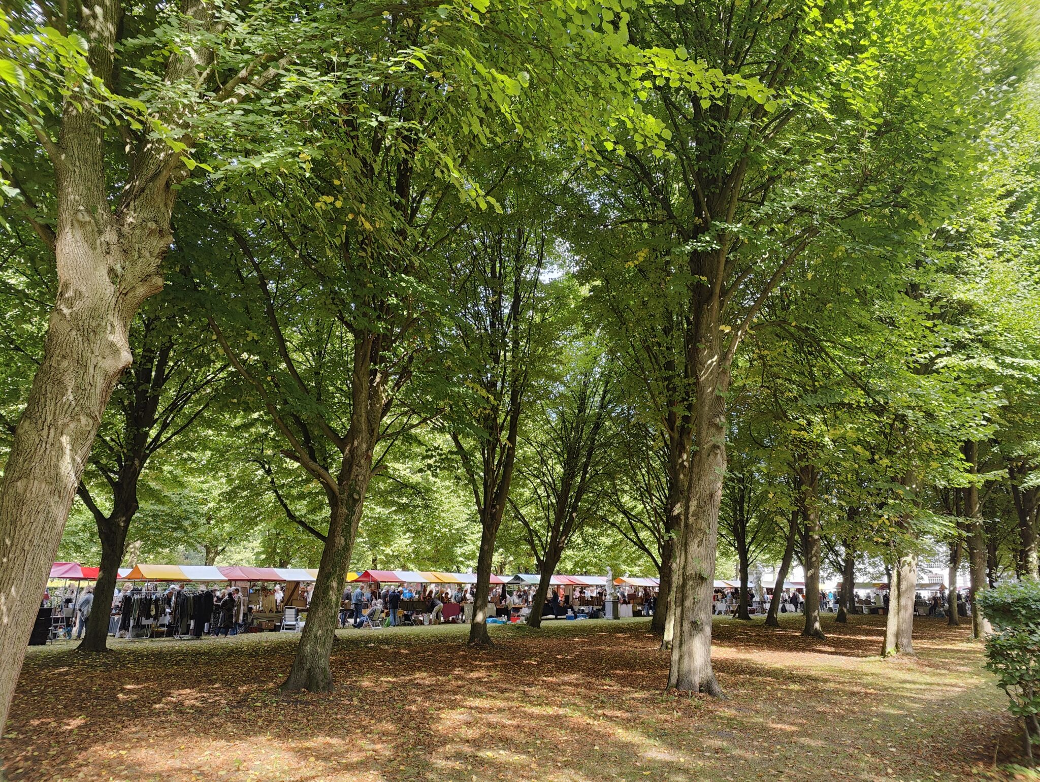 Brocante geliefd bij groot publiek - Jutter | Hofgeest