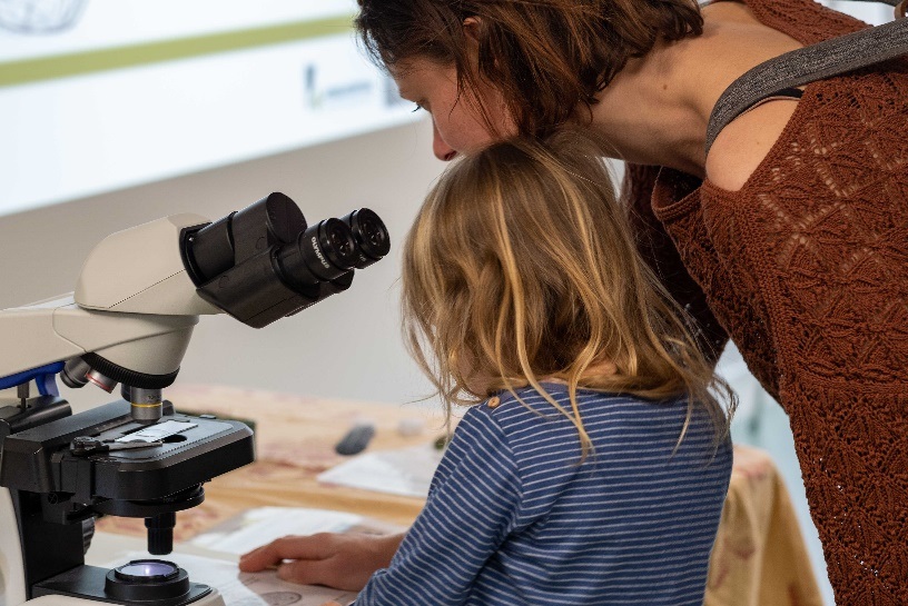 Kinderactiviteiten bij het Vogelhospitaal - Jutter | Hofgeest