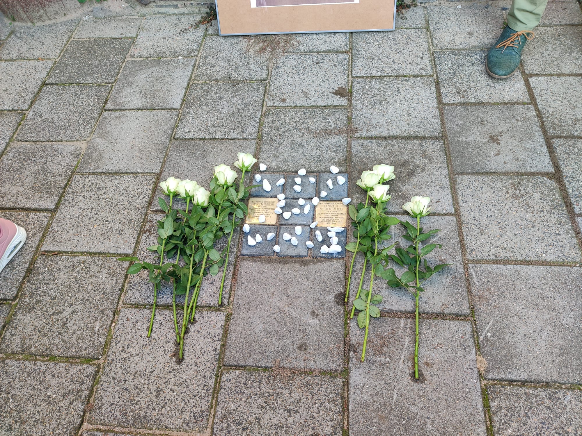 Struikelstenen in Santpoort gelegd - Jutter | Hofgeest