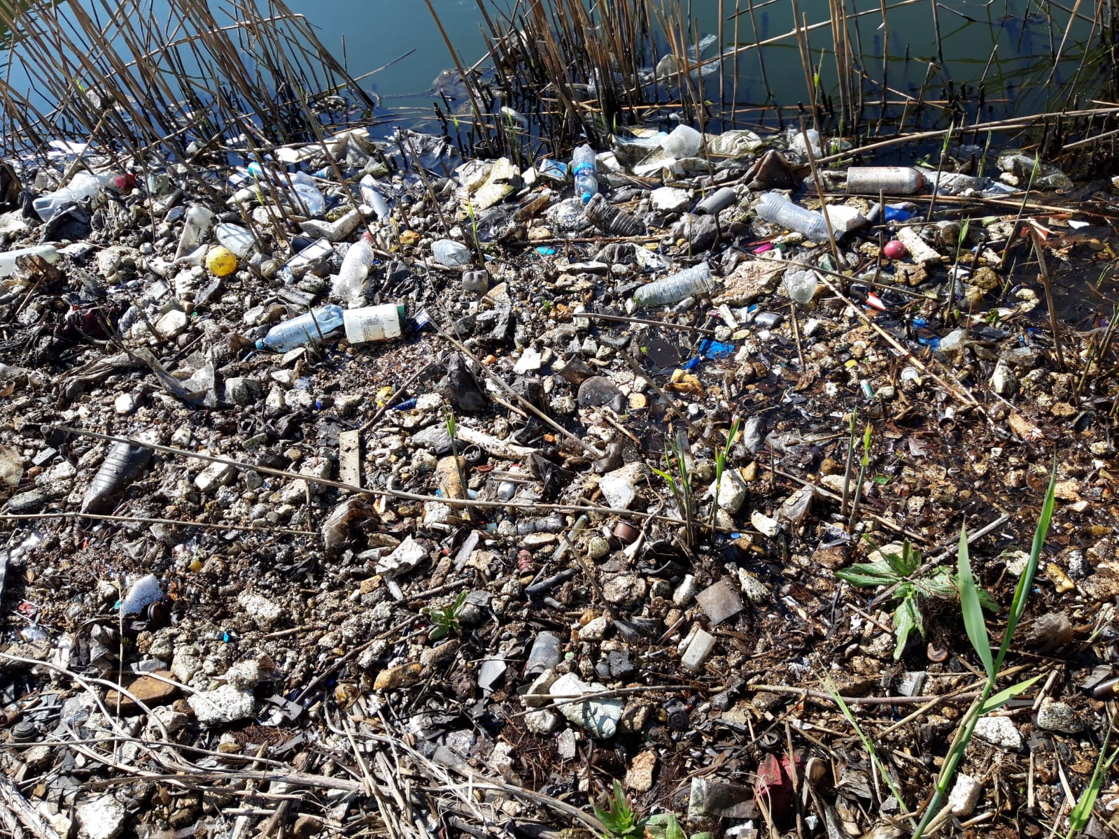 Canal Cleanup haalt duizenden kilo’s zwerfafval op langs het ...