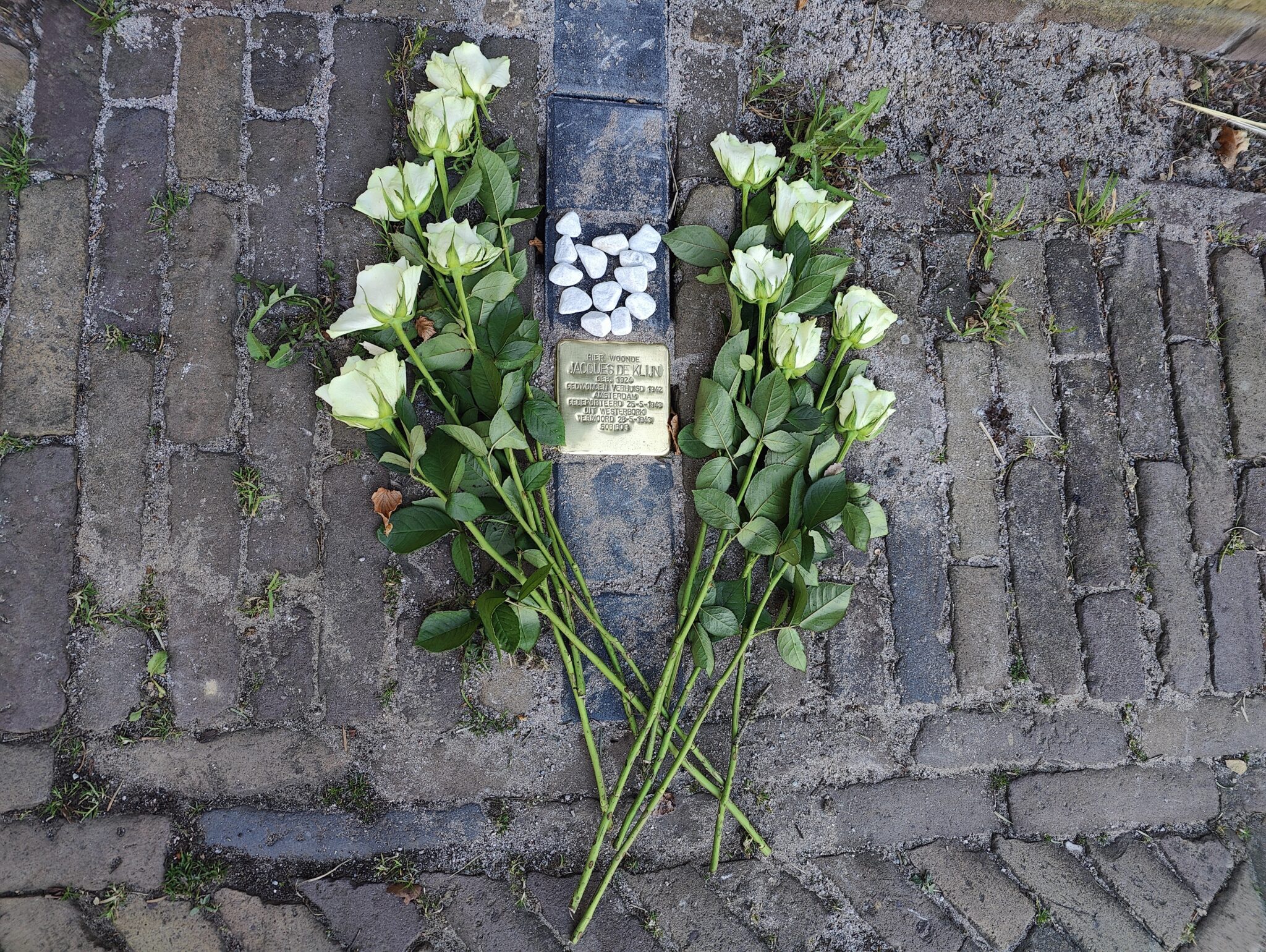 Struikelsteen voor Jacques de Klijn - Jutter | Hofgeest