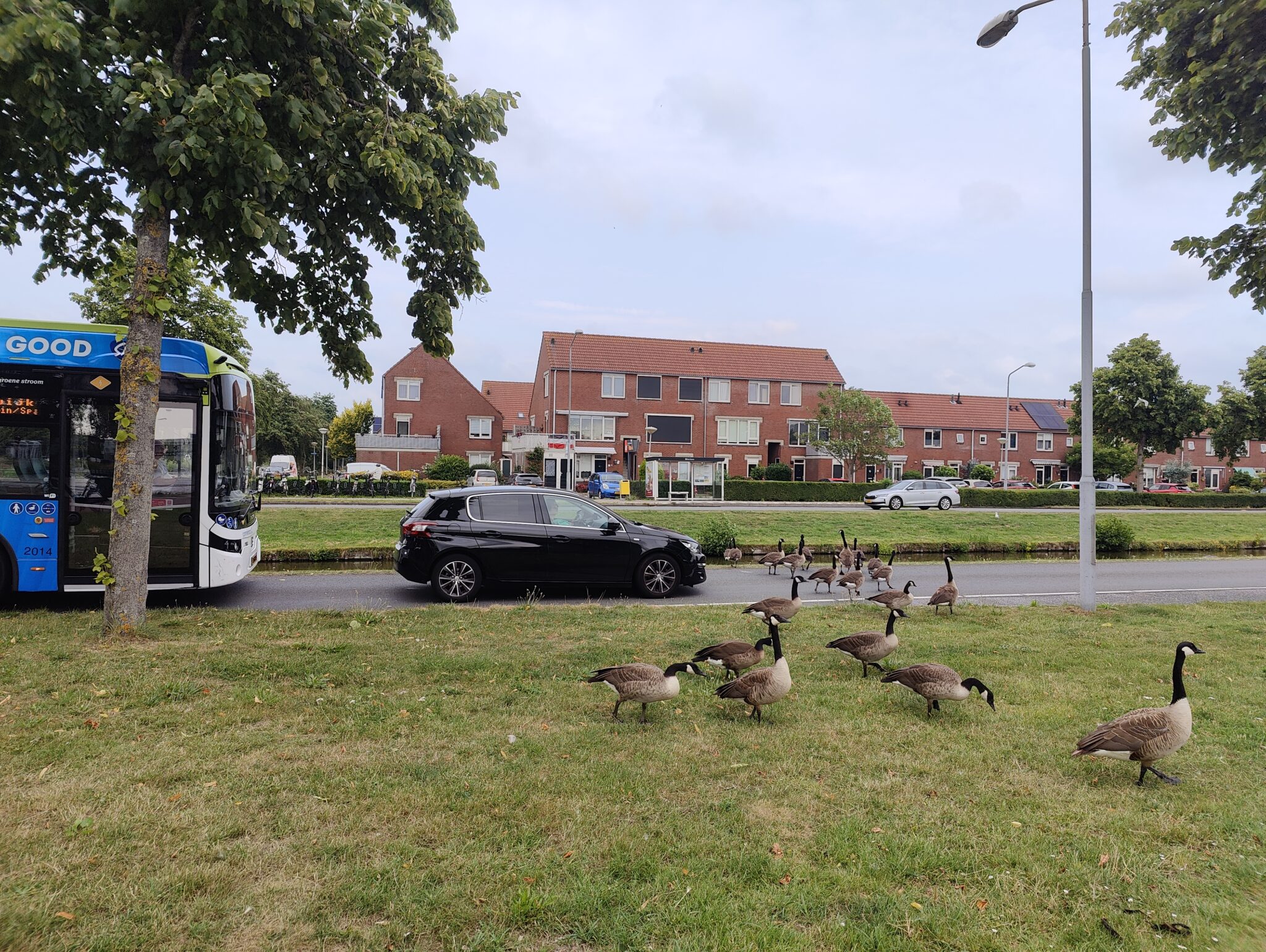 Fileleed in Velserbroek - Jutter | Hofgeest