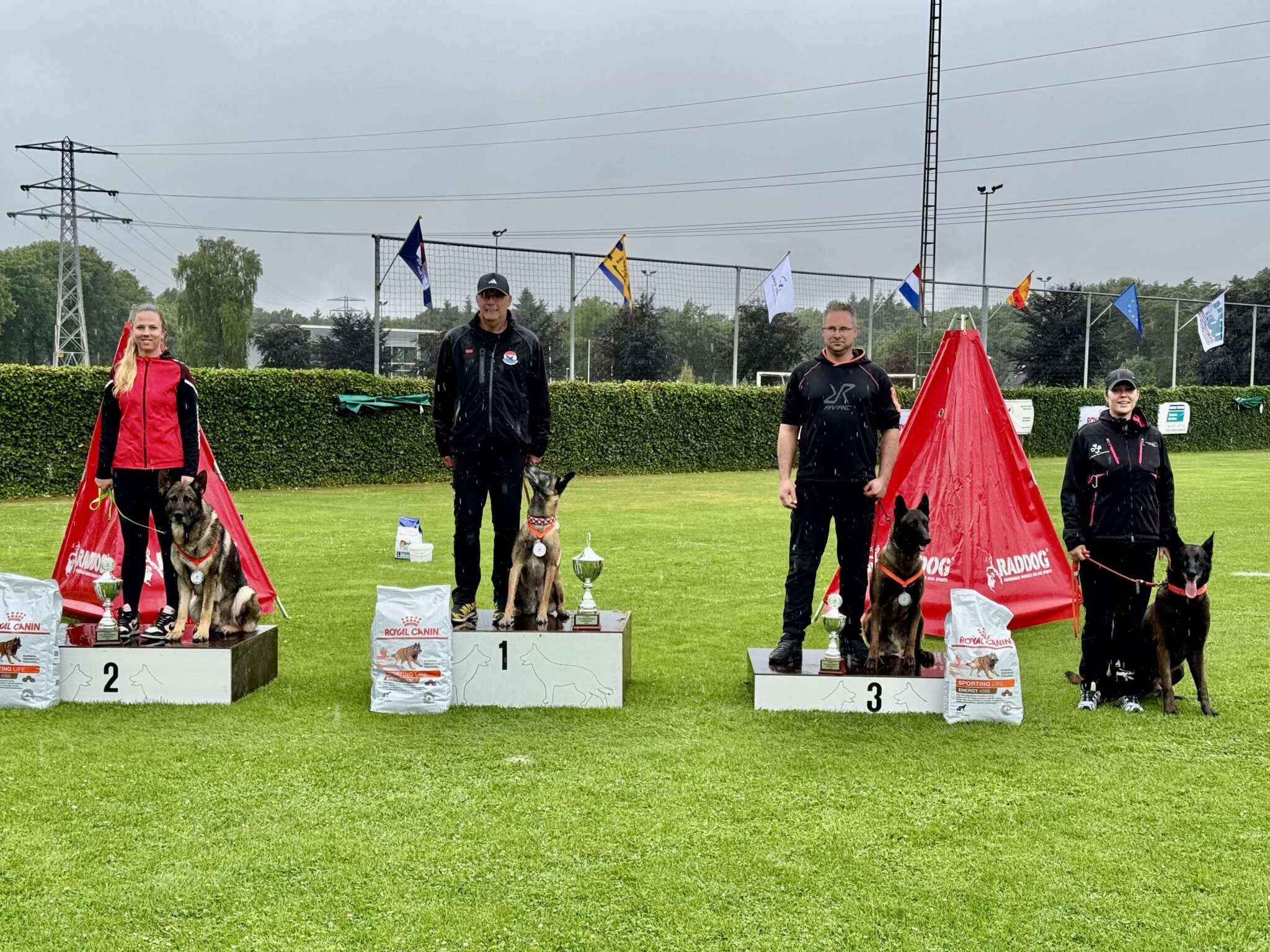 Sico en BLØF Nederlands kampioen werkhonden 2025! - Jutter | Hofgeest